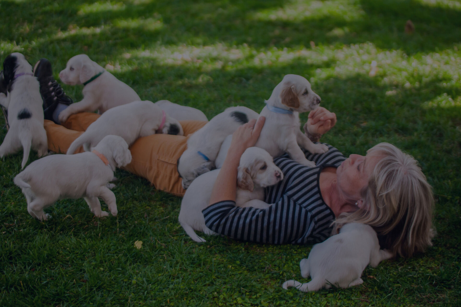 Join Our Community of Good Breeders | Good Dog